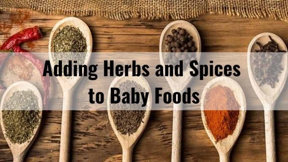 Adding Herbs and Spices to Baby Foods